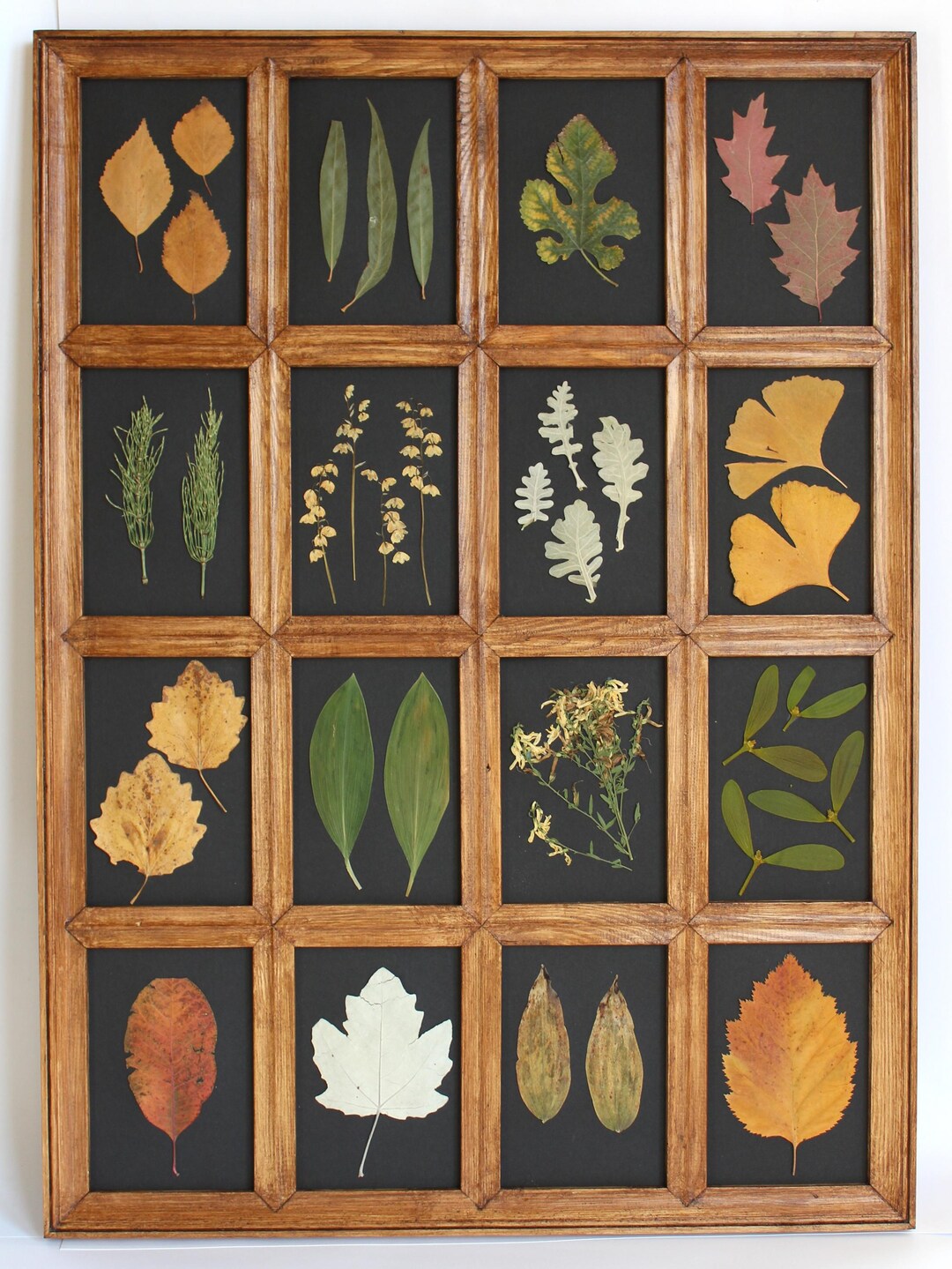 Large Pressed Flower Frame – Vintage Wildflower Herbarium With Real ...
