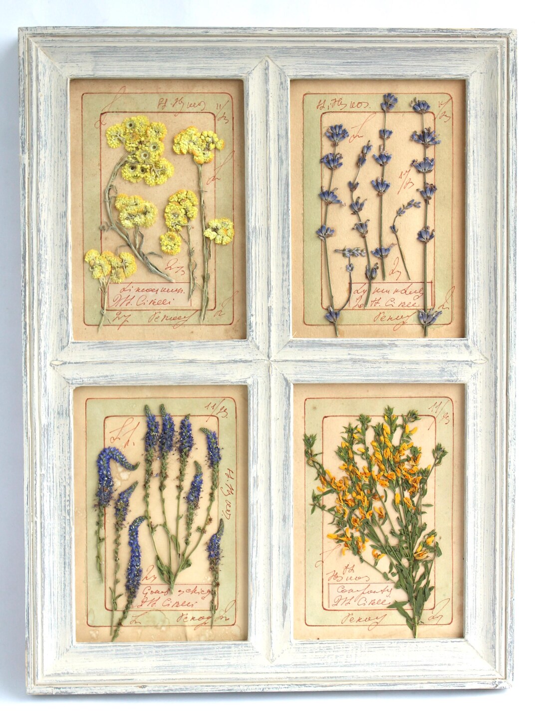 Farmhouse Frame, Pressed Flowers Art, Dried Flower Framed, White ...