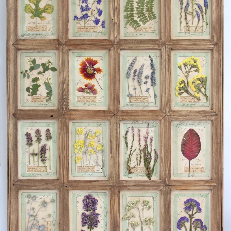Original Botanical - Etsy