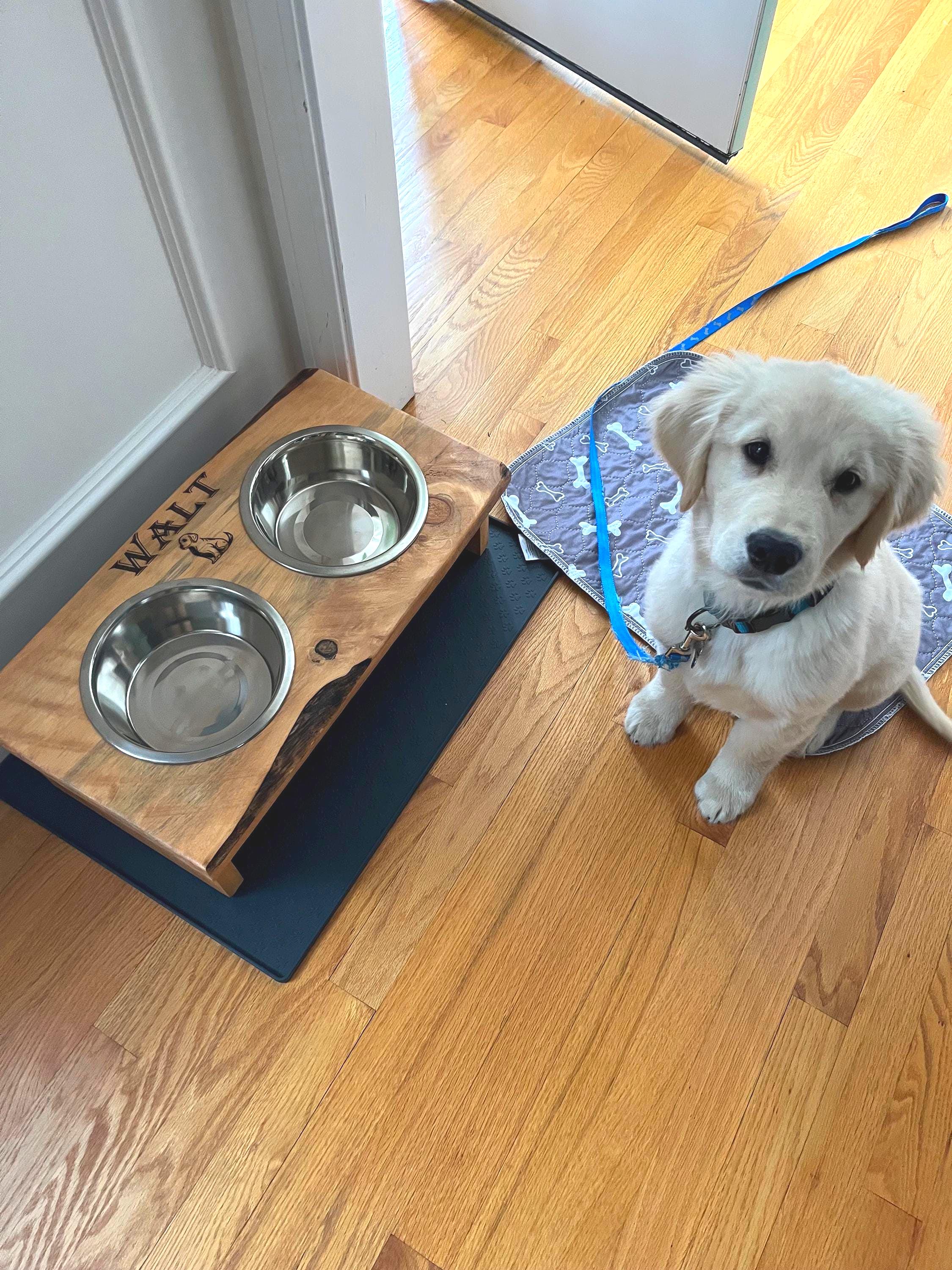 Live Edge Wood Dog Bowl Stand: Custom Engraved, 7" Metal Bowls - Etsy