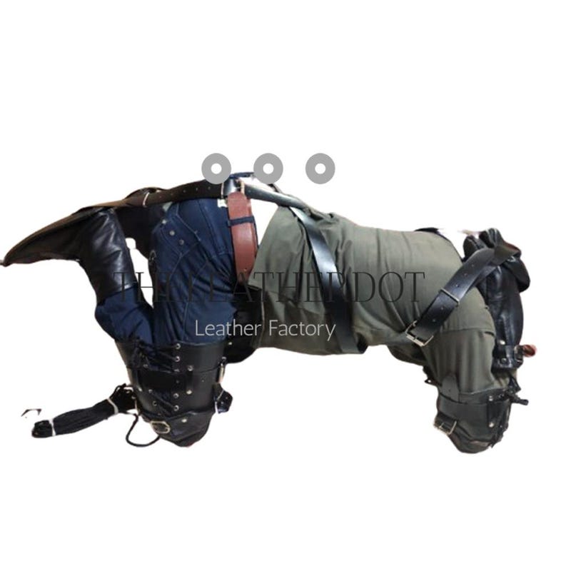 Pet Crawler Bondage - Etsy