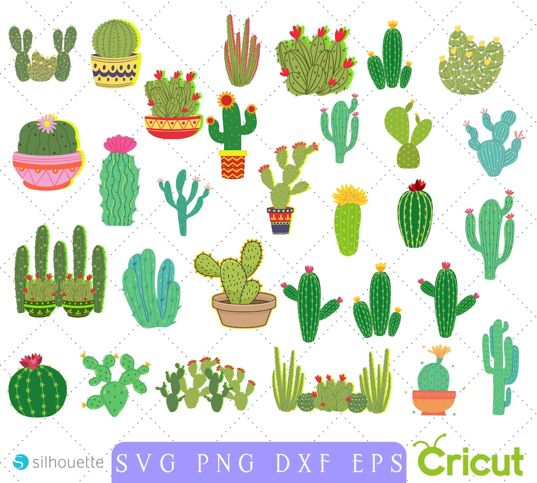 Cactus Collection Svg, SVG and PNG Bundle, Cactus and Succulent Flowers ...