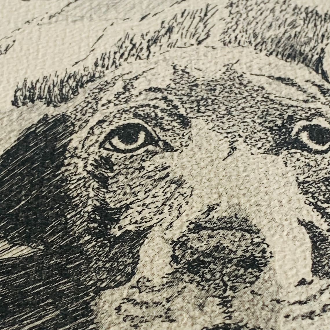 Pair of Vintage Original Drawings by the Same Artist Ink and - Etsy