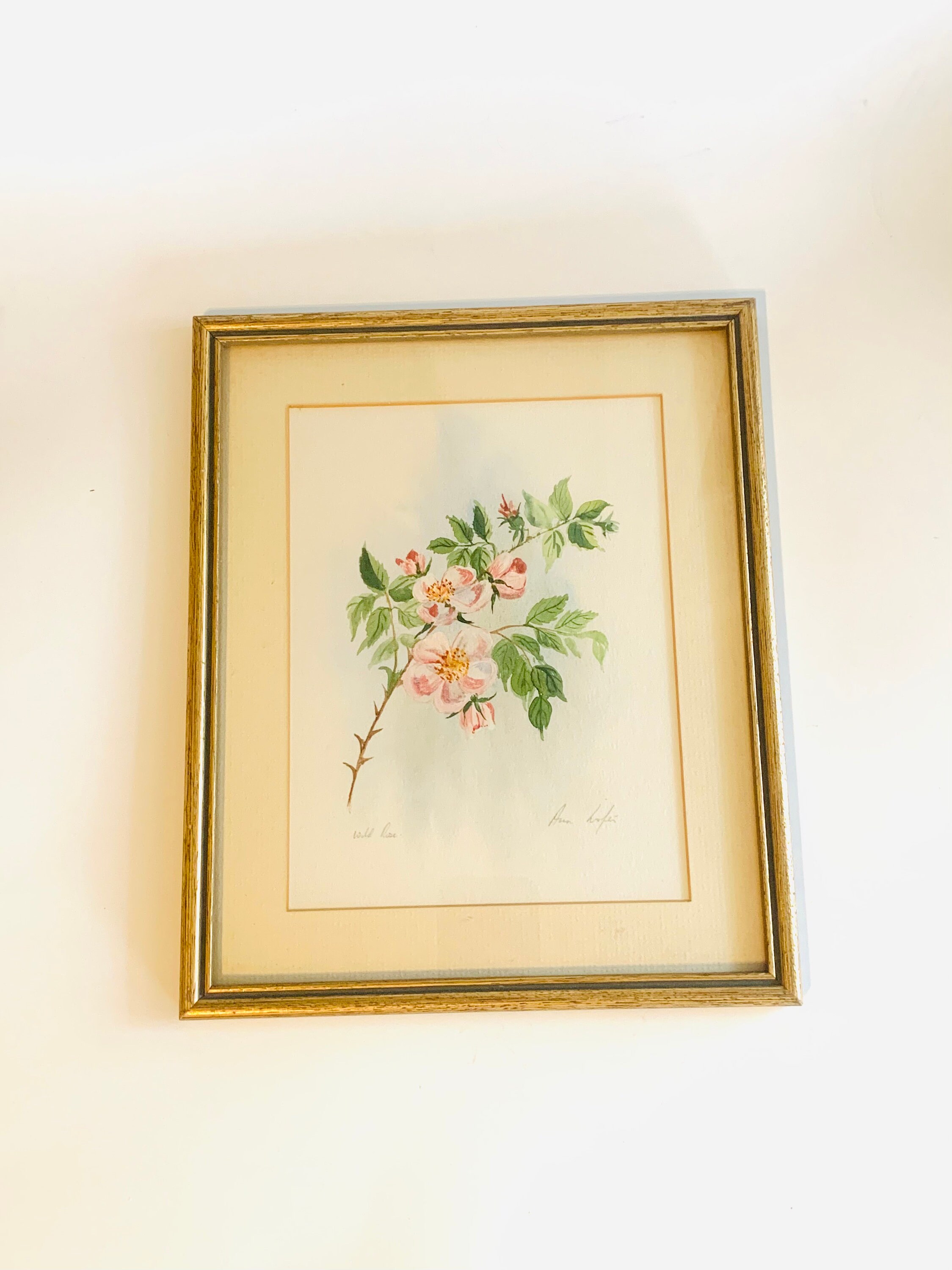 Vintage Original Watercolor by Artist Ann Lister Wild Rose | Etsy
