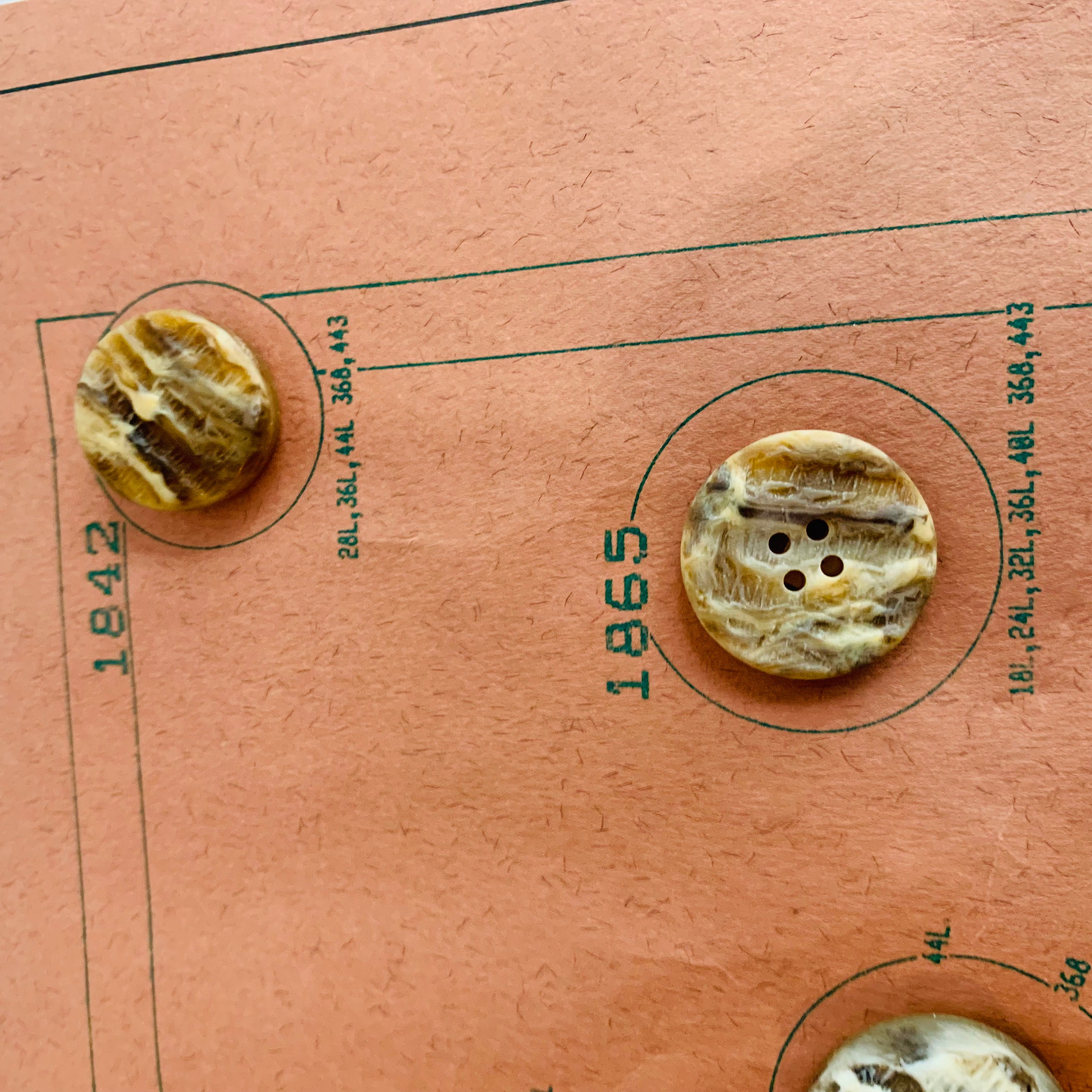 Vintage Button Sample Card, Sher Plastics - Etsy