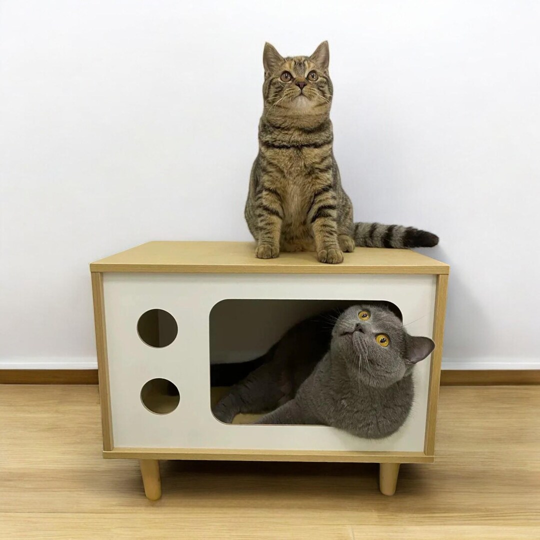 Unique Cat Bed & Side Table Combo, Modern Cat Furniture, Semi Closed ...