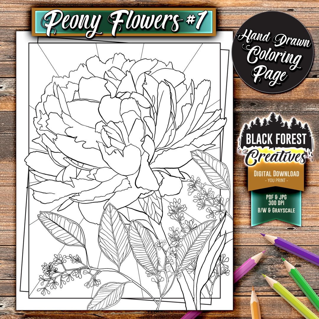 Peony Flowers Coloring Page: Hand-drawn Floral Art (digital Download ...