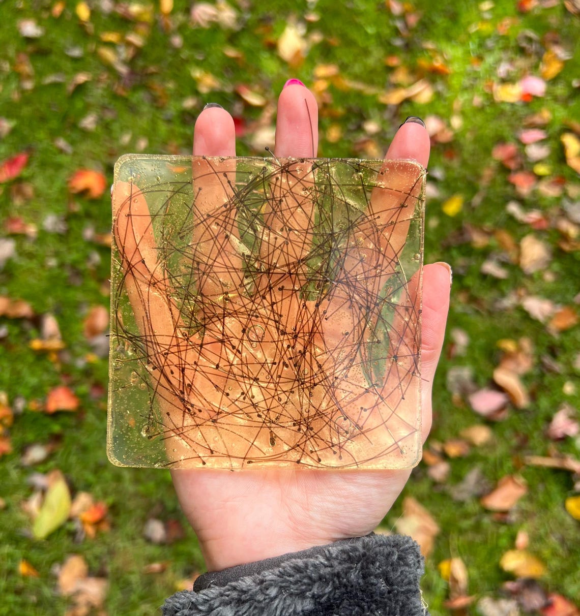 The Ingrown - REUSABLE Over 30 Times! Picky Pad, Picking Pad, ADHD ...