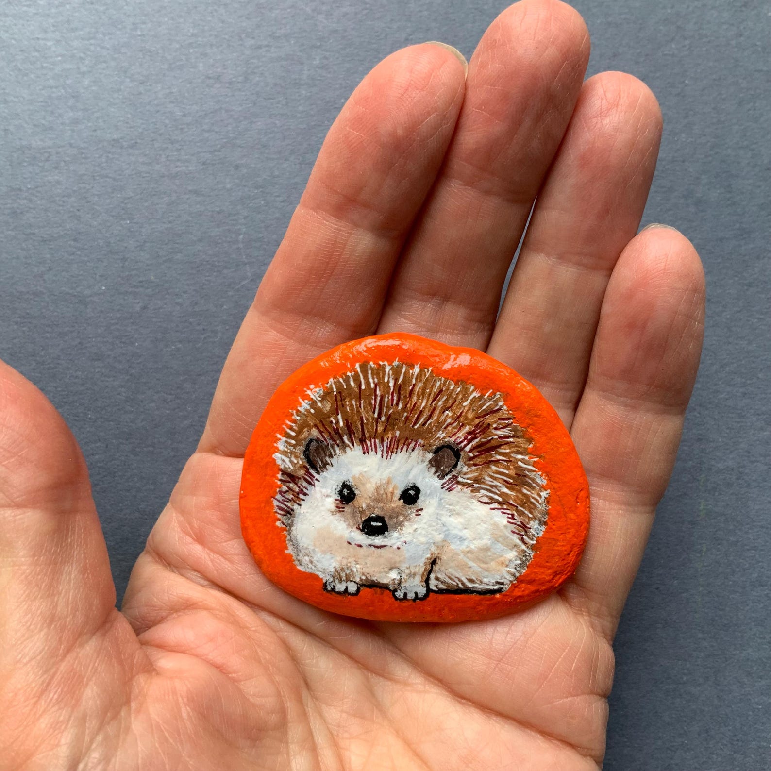 Hedgehog Painted Rock Collectible - Etsy