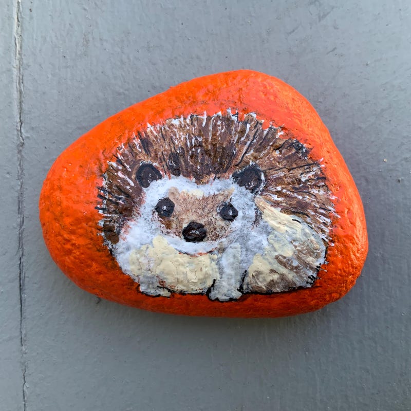 Paint Hedgehog Rock - Etsy