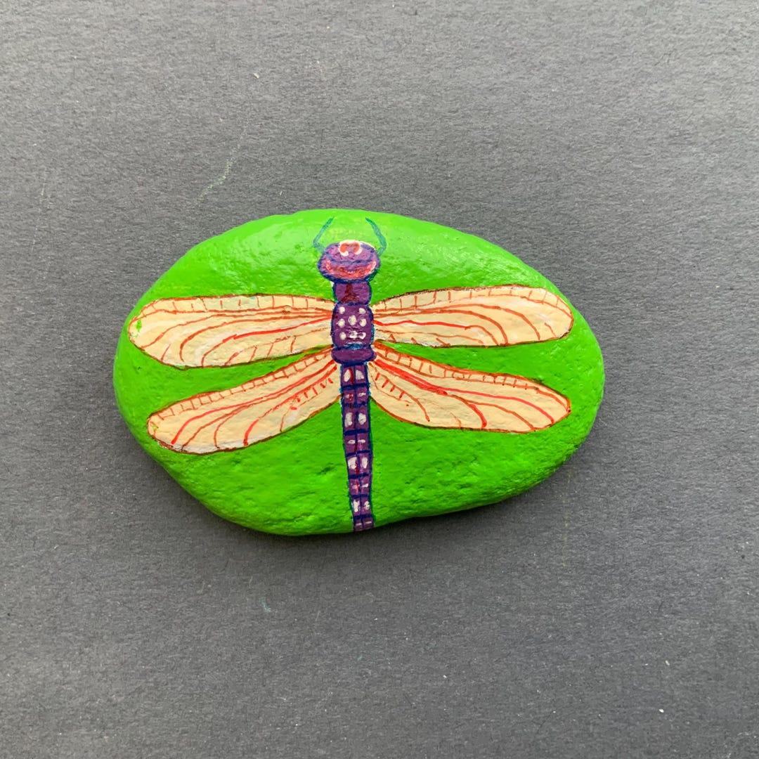 Decorative Dragonfly Painted Rock - Etsy