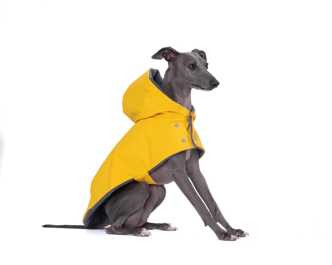 Yigi Waterproof Dog Raincoat Rain Jacket for Italian Greyhounds and ...