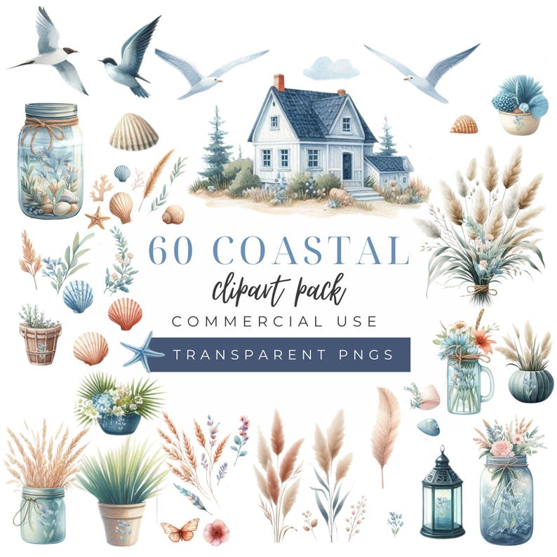Coastal Clipart Bundle Seashells Botanicals Birds Ocean-inspired ...