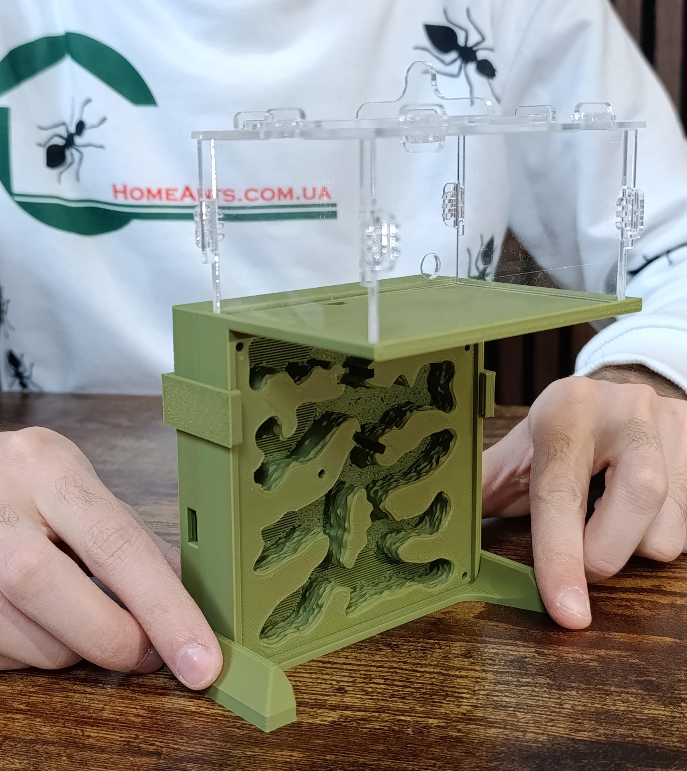 Ant Farm "hill" Vertical Formicarium - Etsy