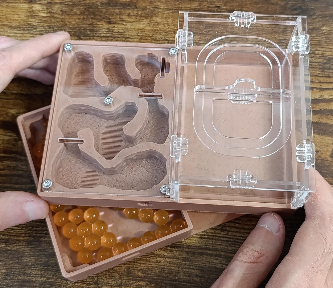 Ant Farm Easy Start Natural Organic Nest Design Etsy