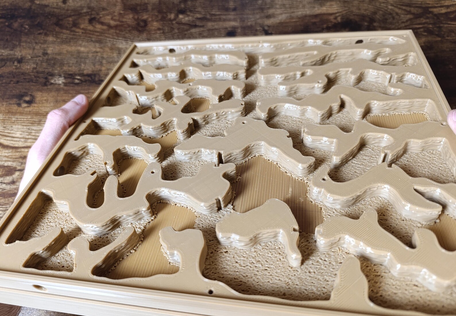 Ant Farm "mega Citadel" Natural Organic Nest Design - Etsy