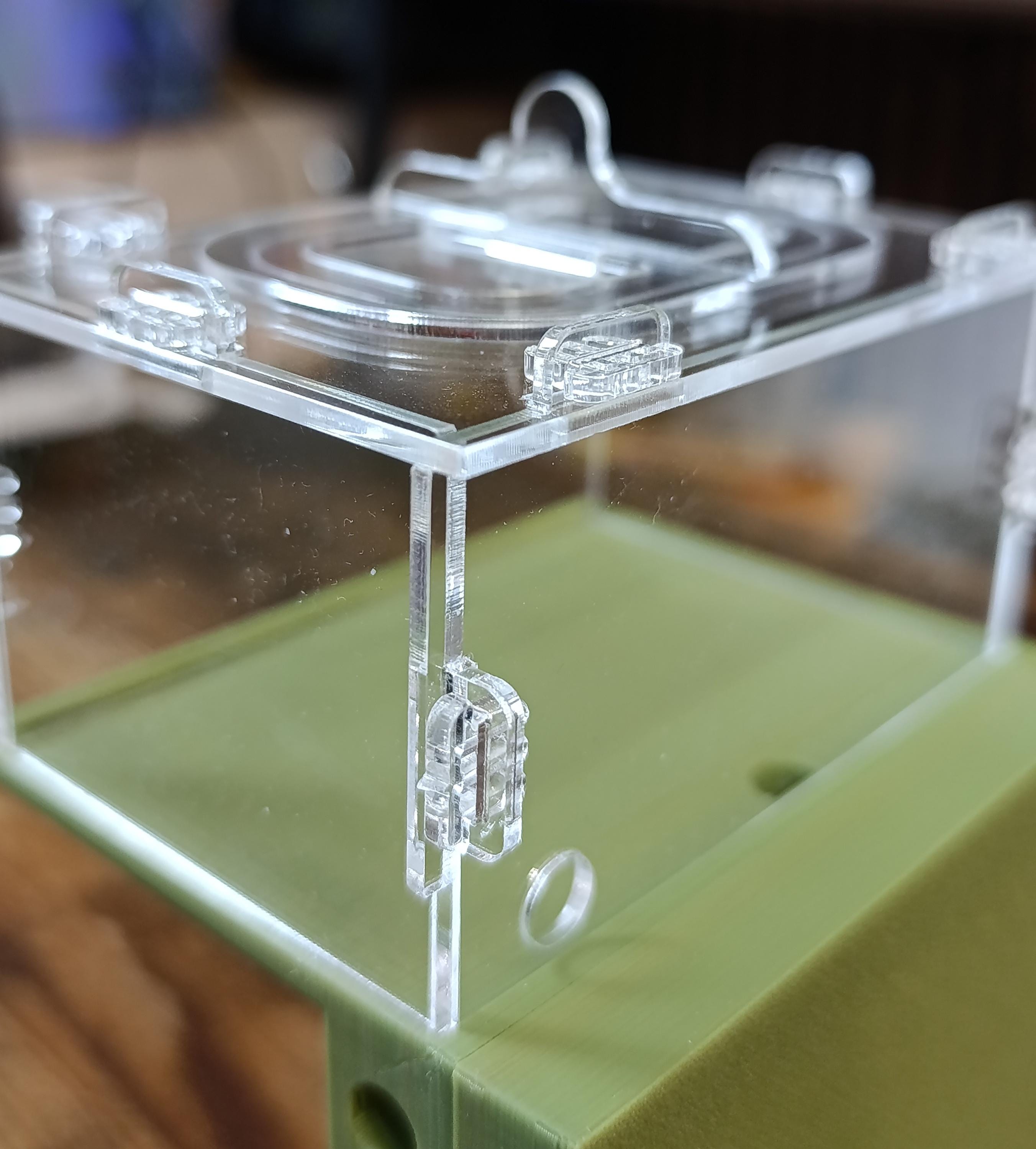 Ant Farm "hill" Vertical Formicarium - Etsy