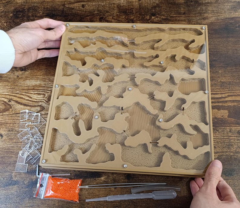 Ant Farm "mega Citadel" Natural Organic Nest Design - Etsy