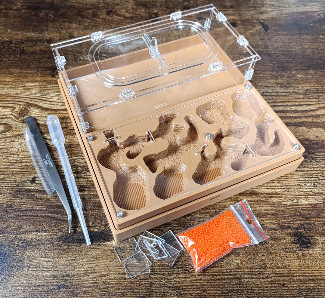 Ant Farm " "easy Start Plus" Natural Organic Nest Design - Etsy