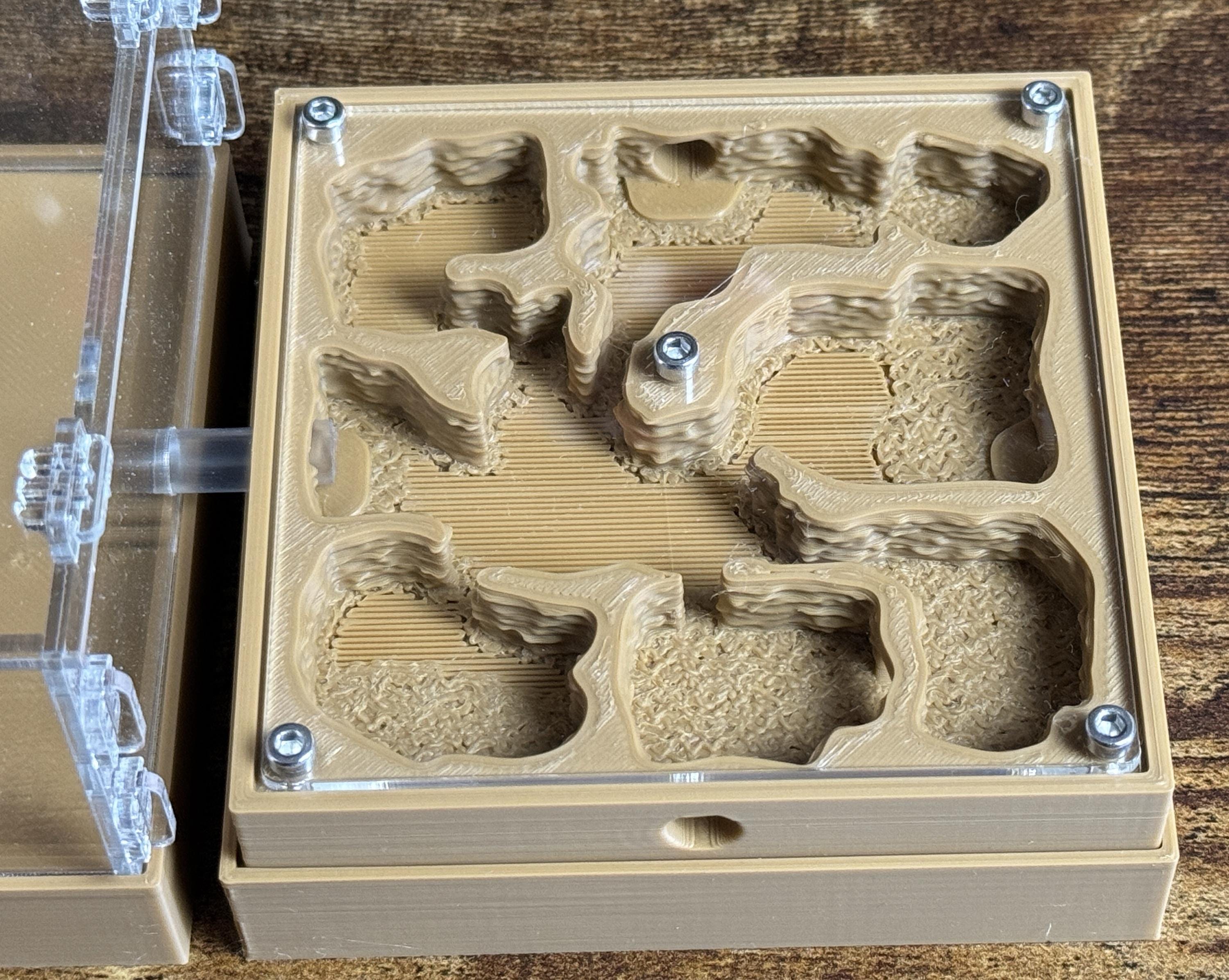 Ant Farm "architect" Anthill, Formicarium, Ants, Ant Nest, Ant Keepers ...