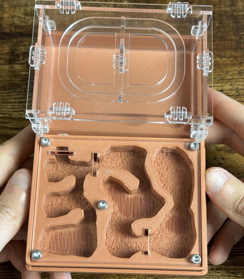 Ant Farm "easy Start" Natural Organic Nest Design - Etsy