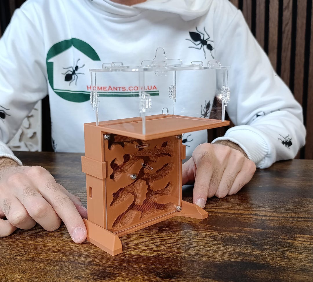 Ant Farm "hill" Vertical Formicarium Anthill, Ant Nest - Etsy