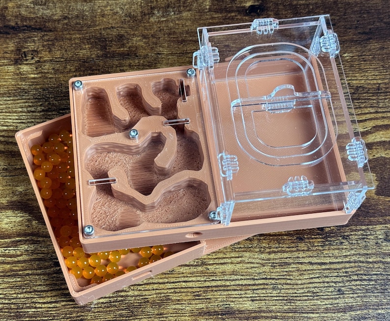 Ant Farm Easy Start Natural Organic Nest Design Etsy