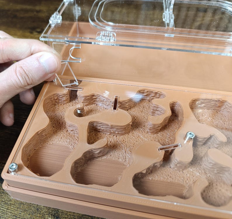 Ant Farm " "easy Start Plus" Natural Organic Nest Design - Etsy