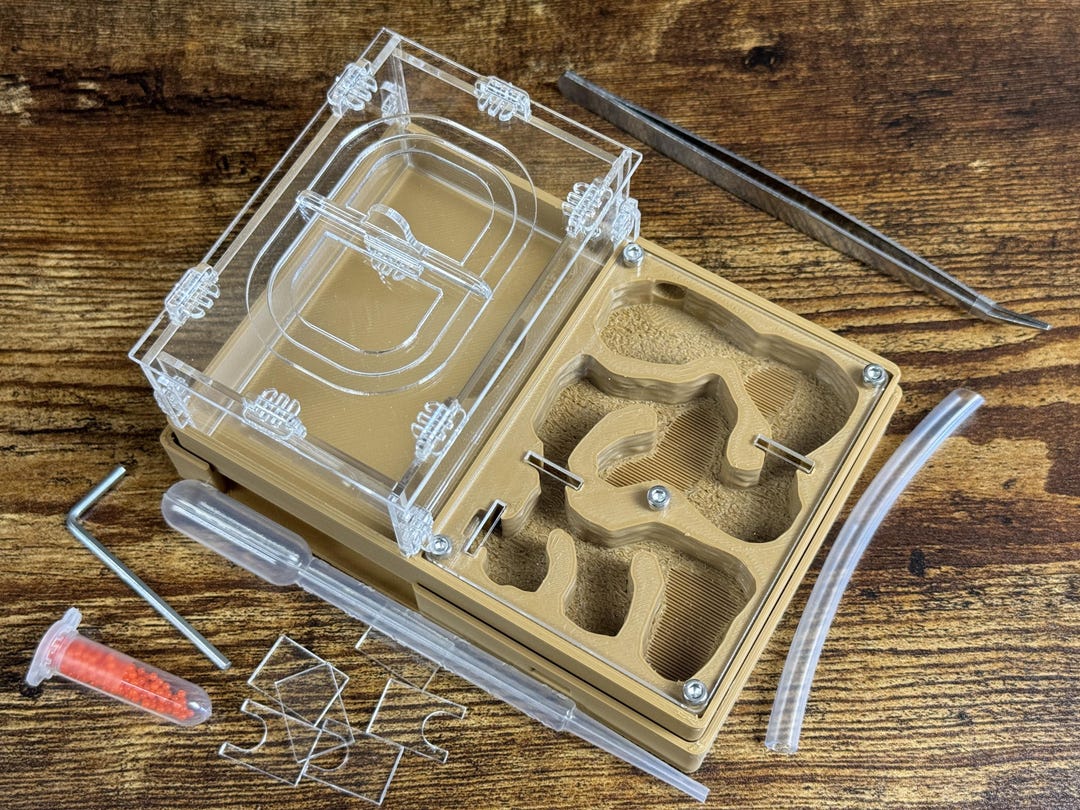 Ant Farm "easy Start" Anthill, Formicarium, Ants, Ant Nest, Ant Keepers ...