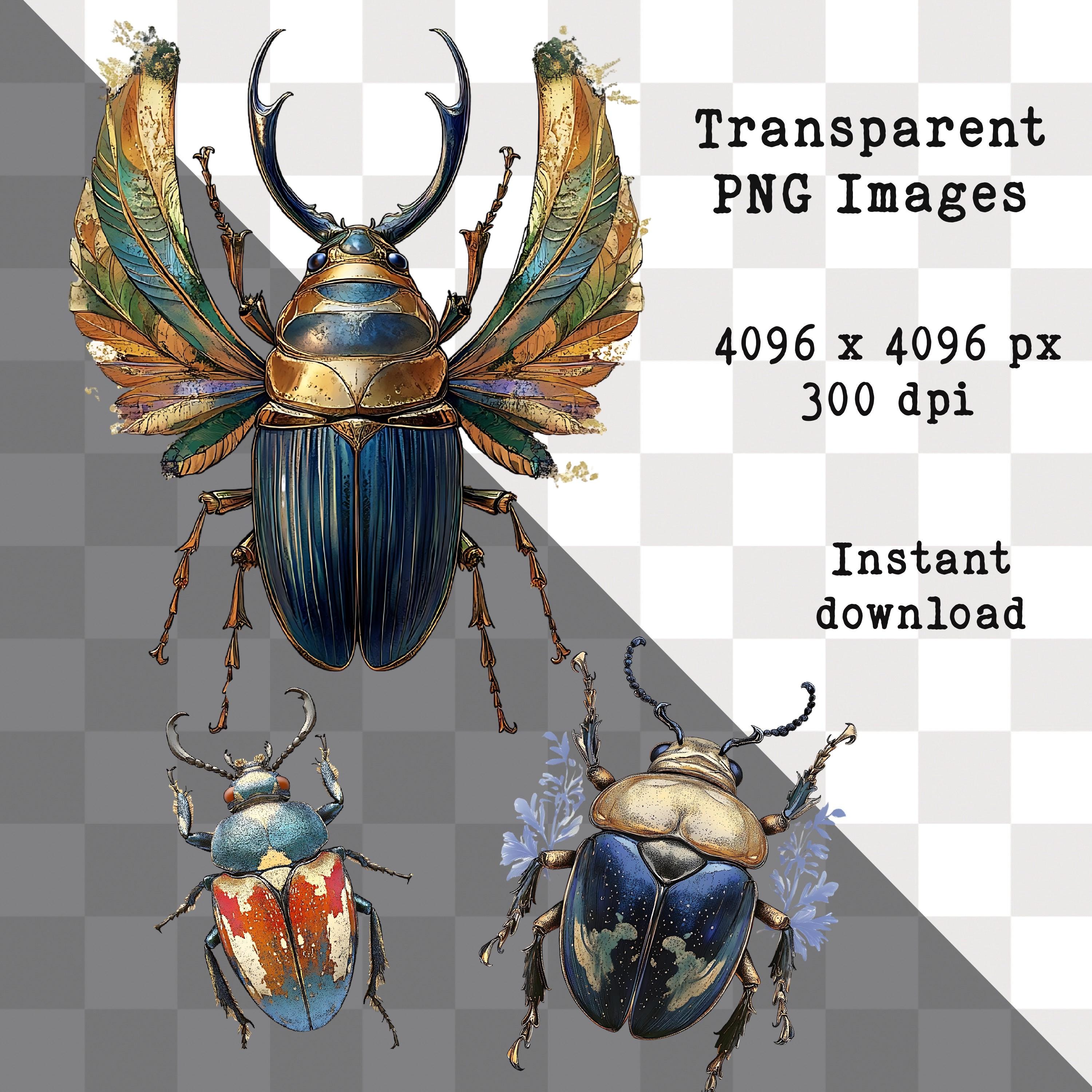 Scarab Clipart Collection - 12 Digital PNG Images for Sublimation and ...