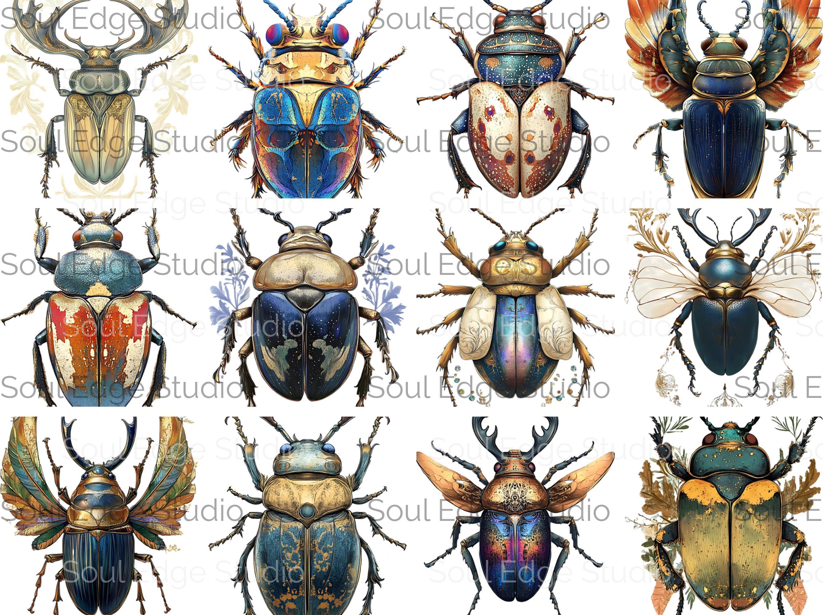 Scarab Clipart Collection - 12 Digital PNG Images for Sublimation and ...