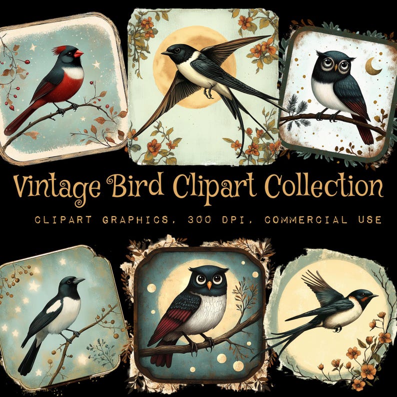 Vintage Bird Clipart Collection - Owl, Cardinal, Magpie, Barn Swallow ...