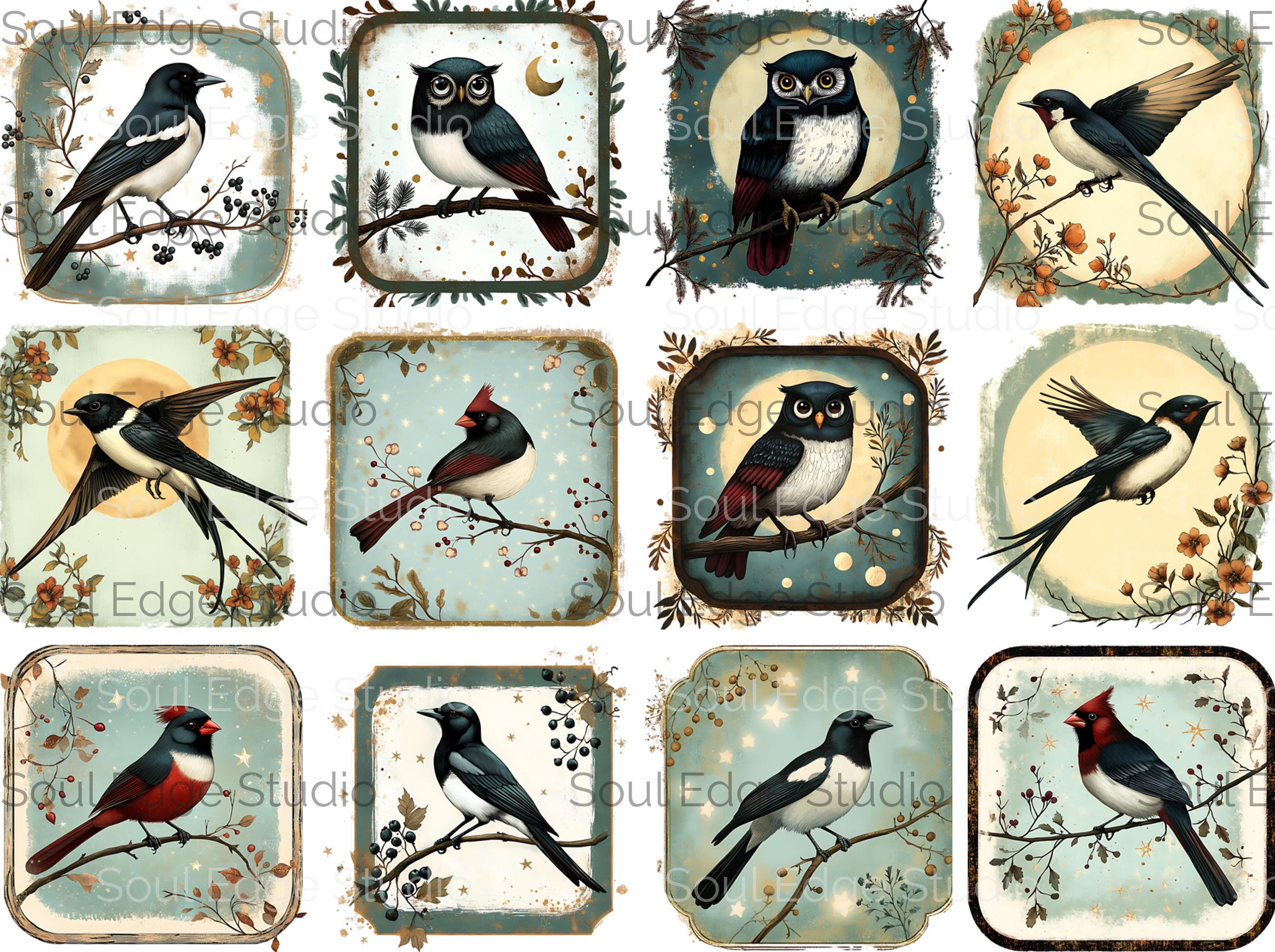 Vintage Bird Clipart Collection - Owl, Cardinal, Magpie, Barn Swallow ...