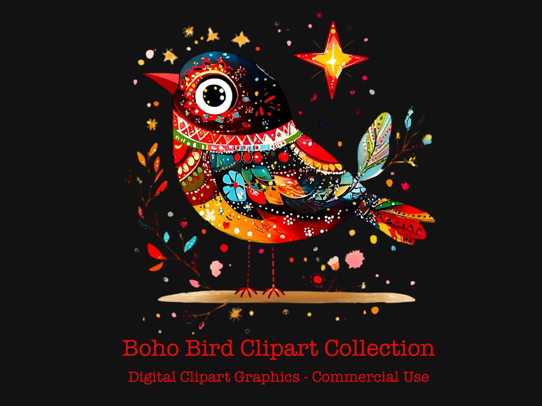 Boho Folk Art Bird Clipart Collection - 12 Digital PNG Images for ...