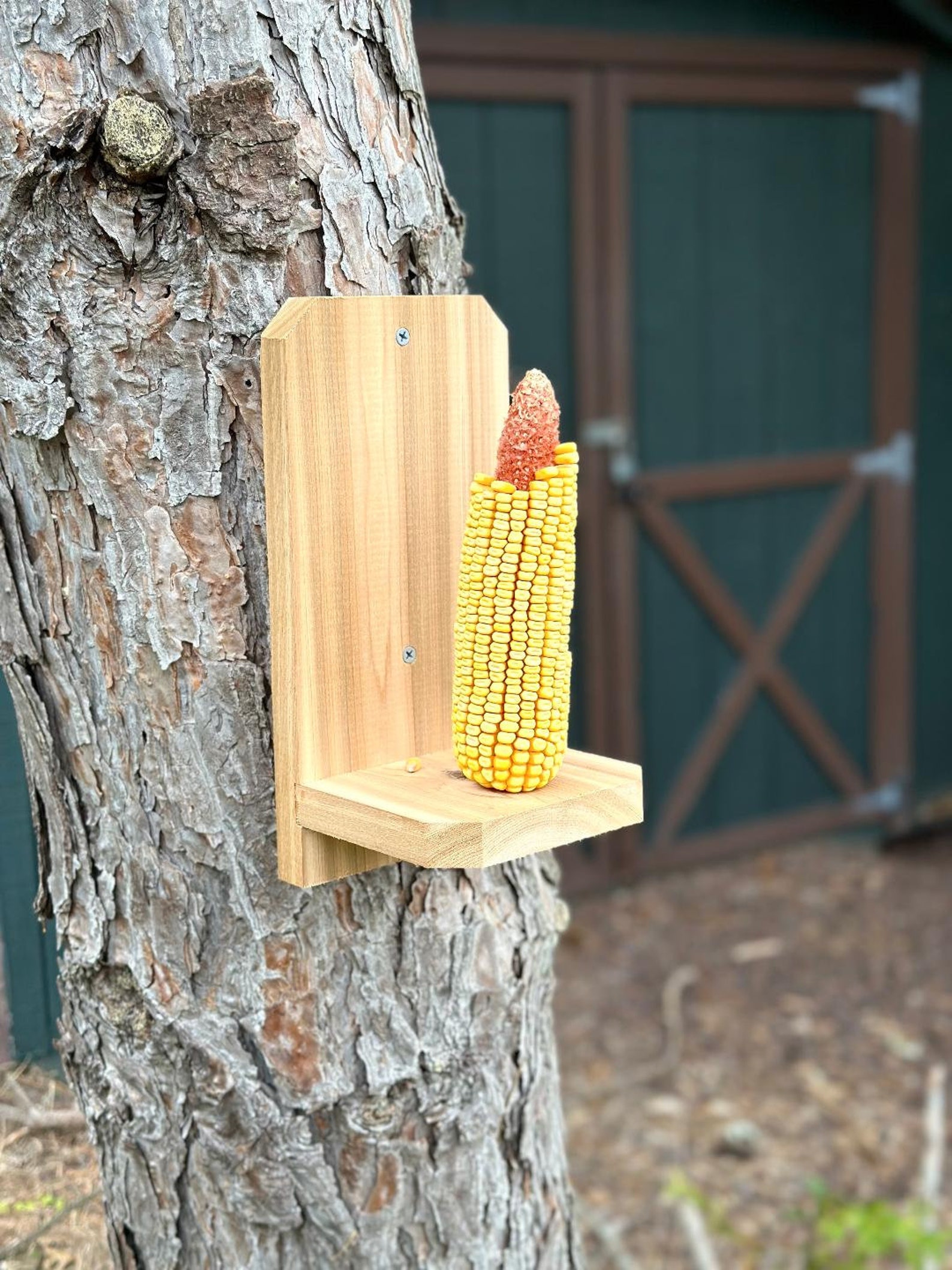 Squirrel Feeder for Corn Cob - Etsy