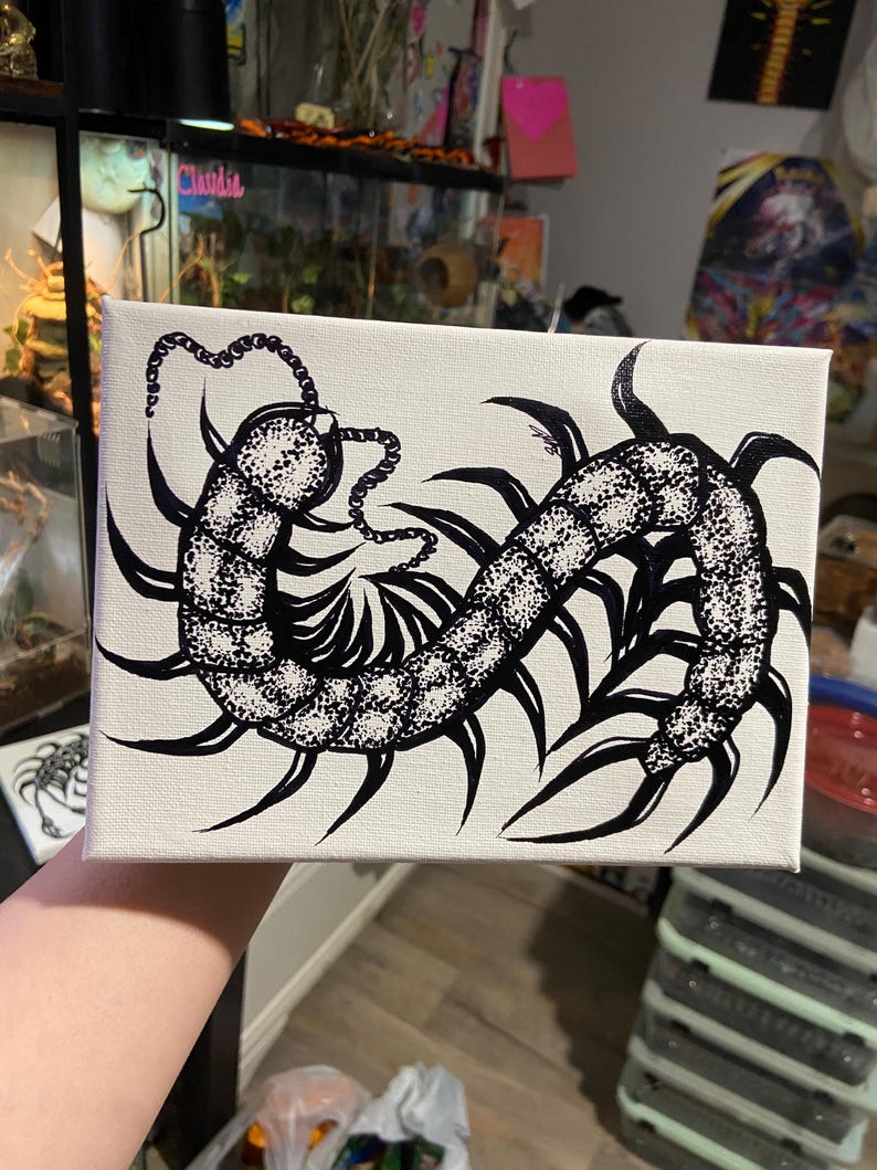 8x6” Centipede - Etsy