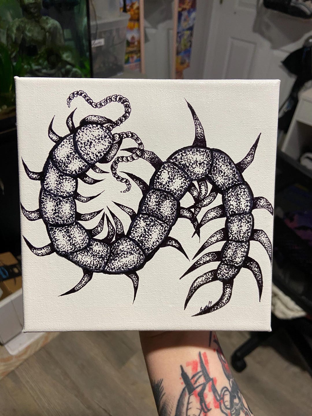 7x7” Centipede on Canvas - Etsy