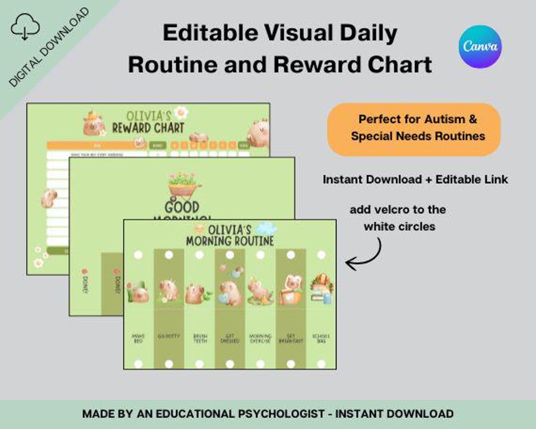 Editable Morning Routine & Reward Chart for Kids | Printable PDF ...
