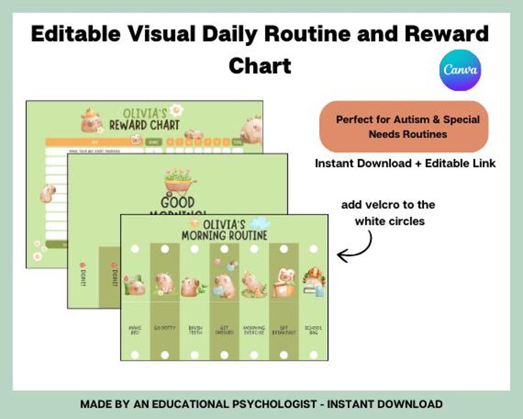 Editable Morning Routine & Reward Chart for Kids | Printable PDF ...