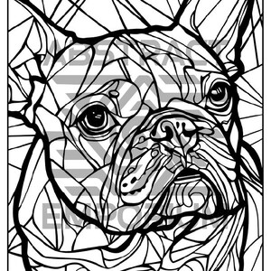 Colouring Pages Animal Pets With Stained Glass Downloads - Etsy