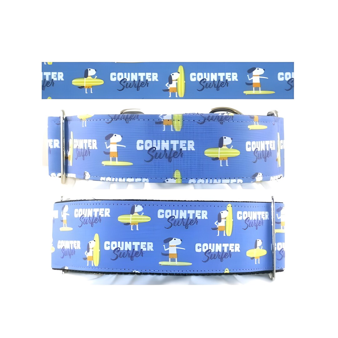 Counter Surfer Blue Greyhound Martingale Dog Collar - 1", 1.5", 2 ...