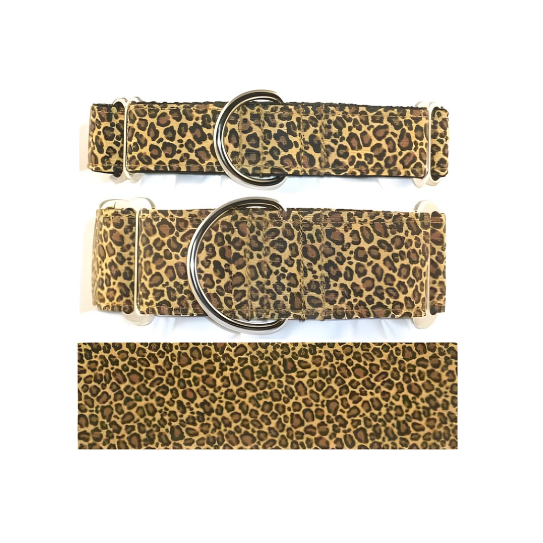 Leopard Cheetah Print Greyhound Martingale Dog Collar - 1", 1.5", 2 ...
