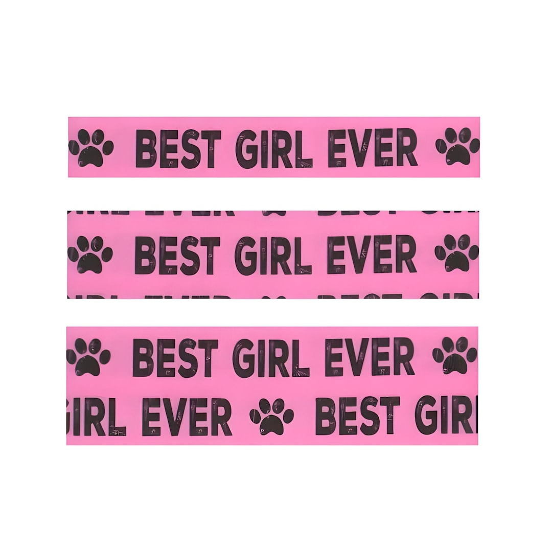 Best Girl Ever Pink Greyhound Martingale Dog Collar - 1", 1.5", 2 ...