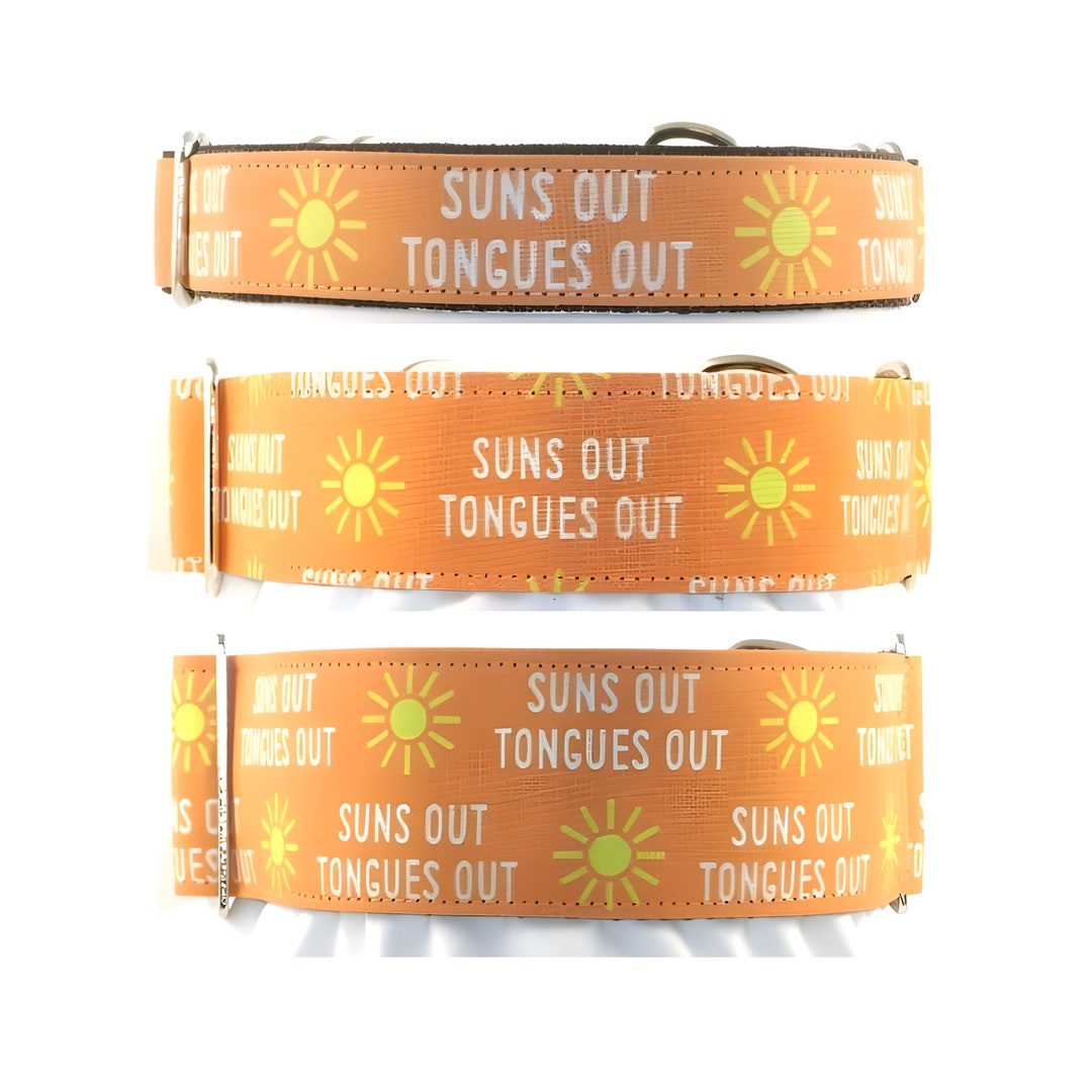 Suns Out Tongues Out Orange Greyhound Martingale Dog Collar - 1", 1.5 ...