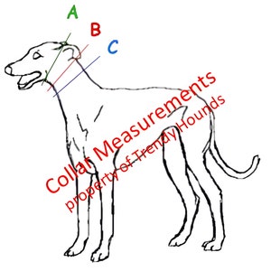 Paisley Flip Flop Red Greyhound Martingale Dog Collar - 1", 1.5", 2 ...