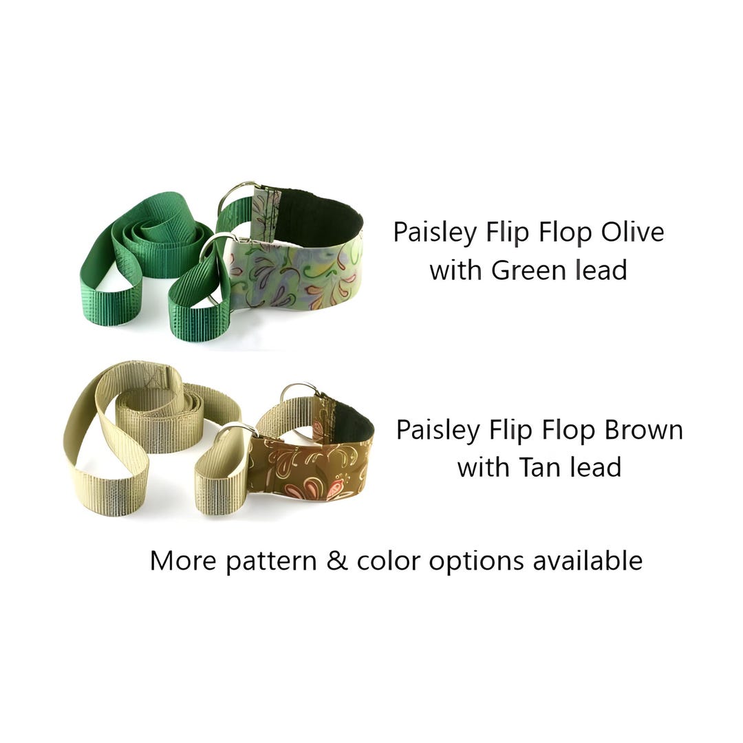 Lure Coursing Slip Lead, Fast CAT, Tally Ho, 1.5 Inch, 2 Inch, Paisley ...