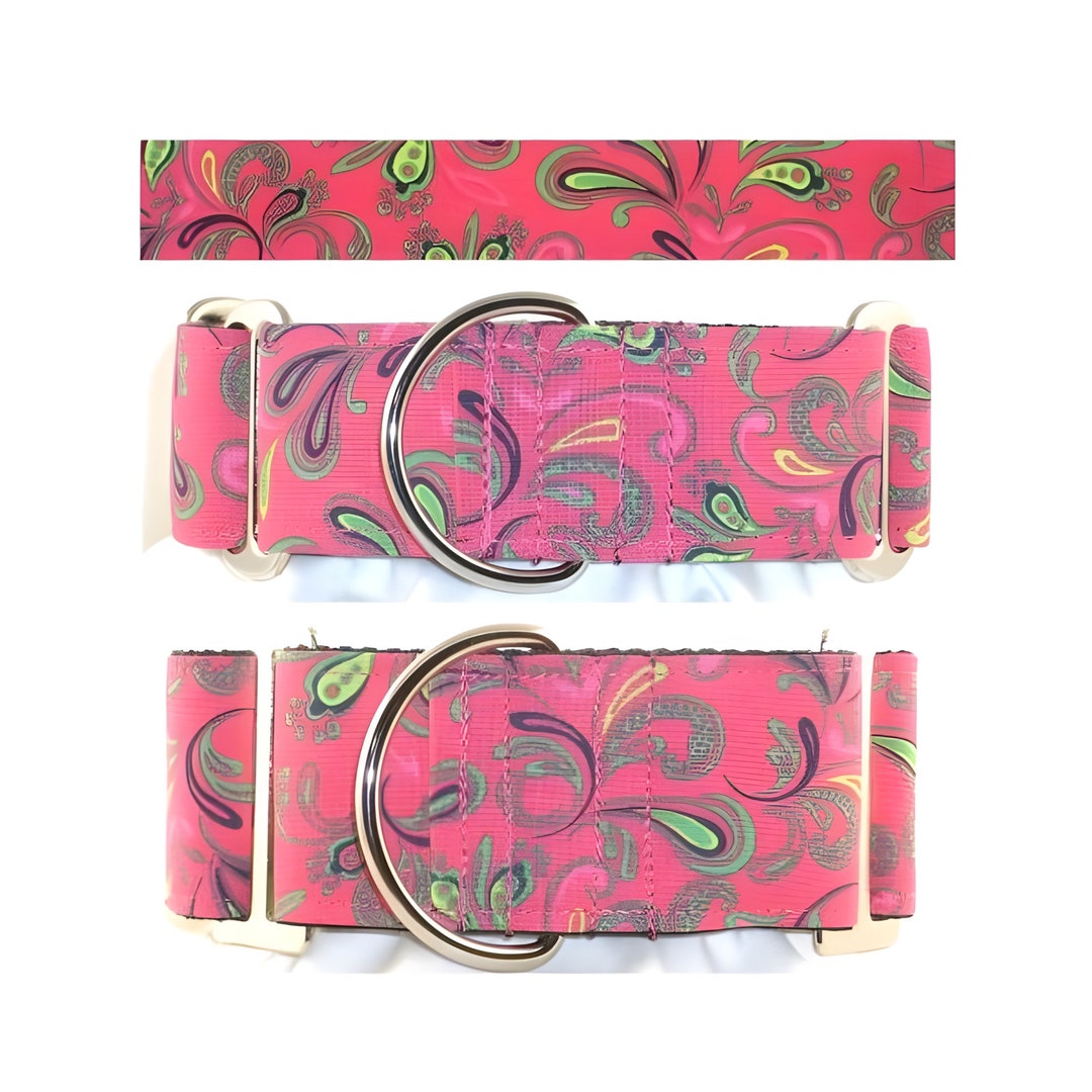 Paisley Flip Flop Hot Pink Greyhound Martingale Dog Collar - 1", 1.5 ...