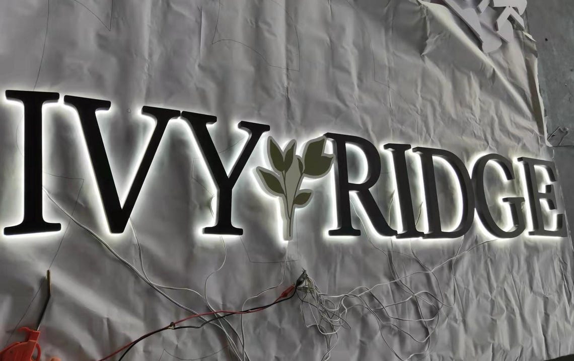 Custom Halo Lit Signage-illuminated Sign-backlit-3d Design Personalized ...