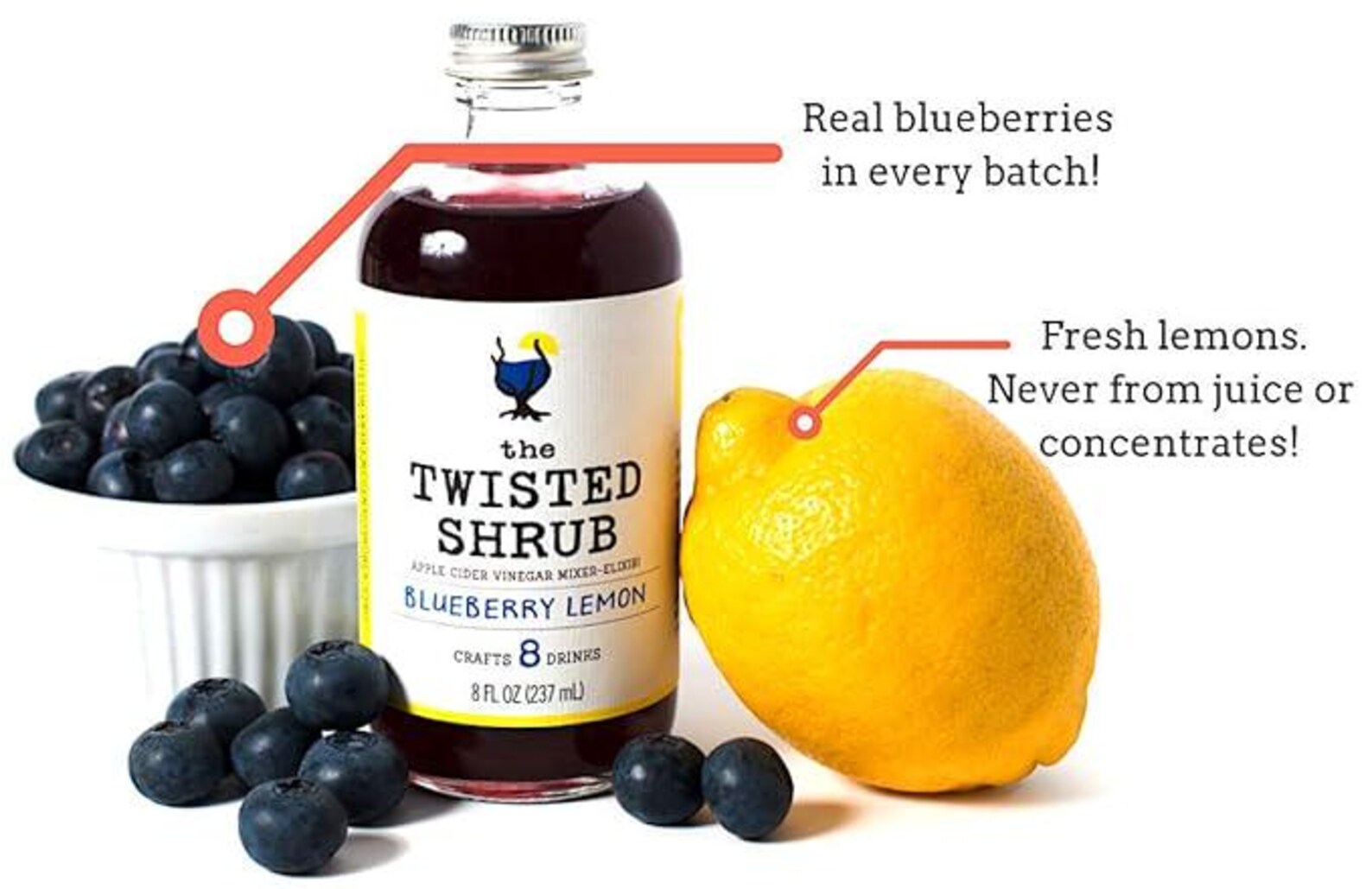 Winter Wonderland Mocktail Kit With Dhos NA Vodka, Lemon, Blueberry ...