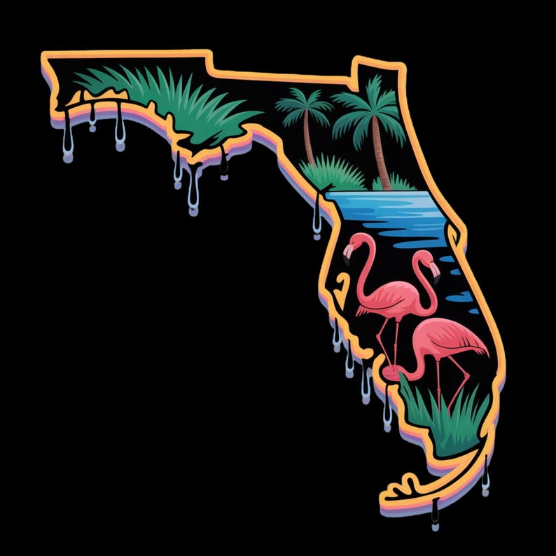 50 USA State PNG Bundle | Neon Drip Outlines | Graffiti T-shirt Designs ...
